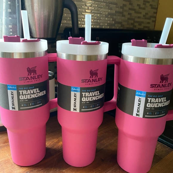 Stanley | Kitchen | Stanley Adventure Quencher 4 Ounce Azalea | Poshmark